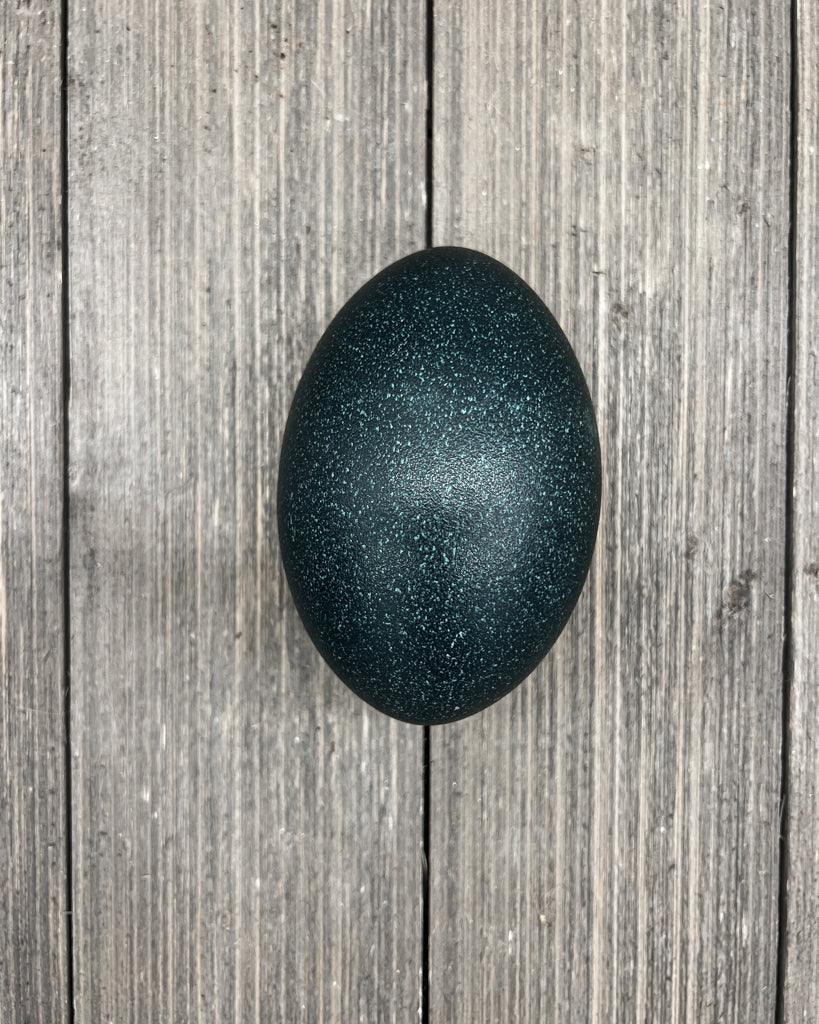 Emu Egg – Dogs Like it Raw